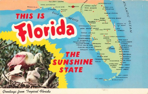 Florida, Sunshine State Map, Vintage Postcard | eBay