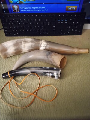 Muzzleloader Black Powder Horn's as a Group. 3 Horn's Unfinished | eBay