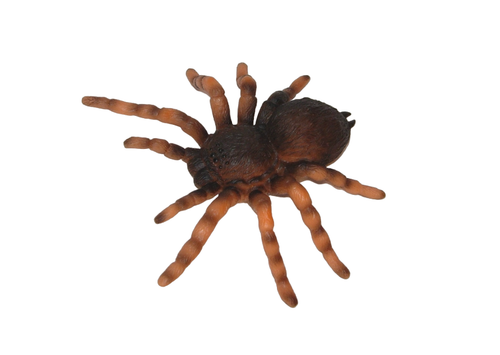 Tarantula Spider Rubber Figure | eBay