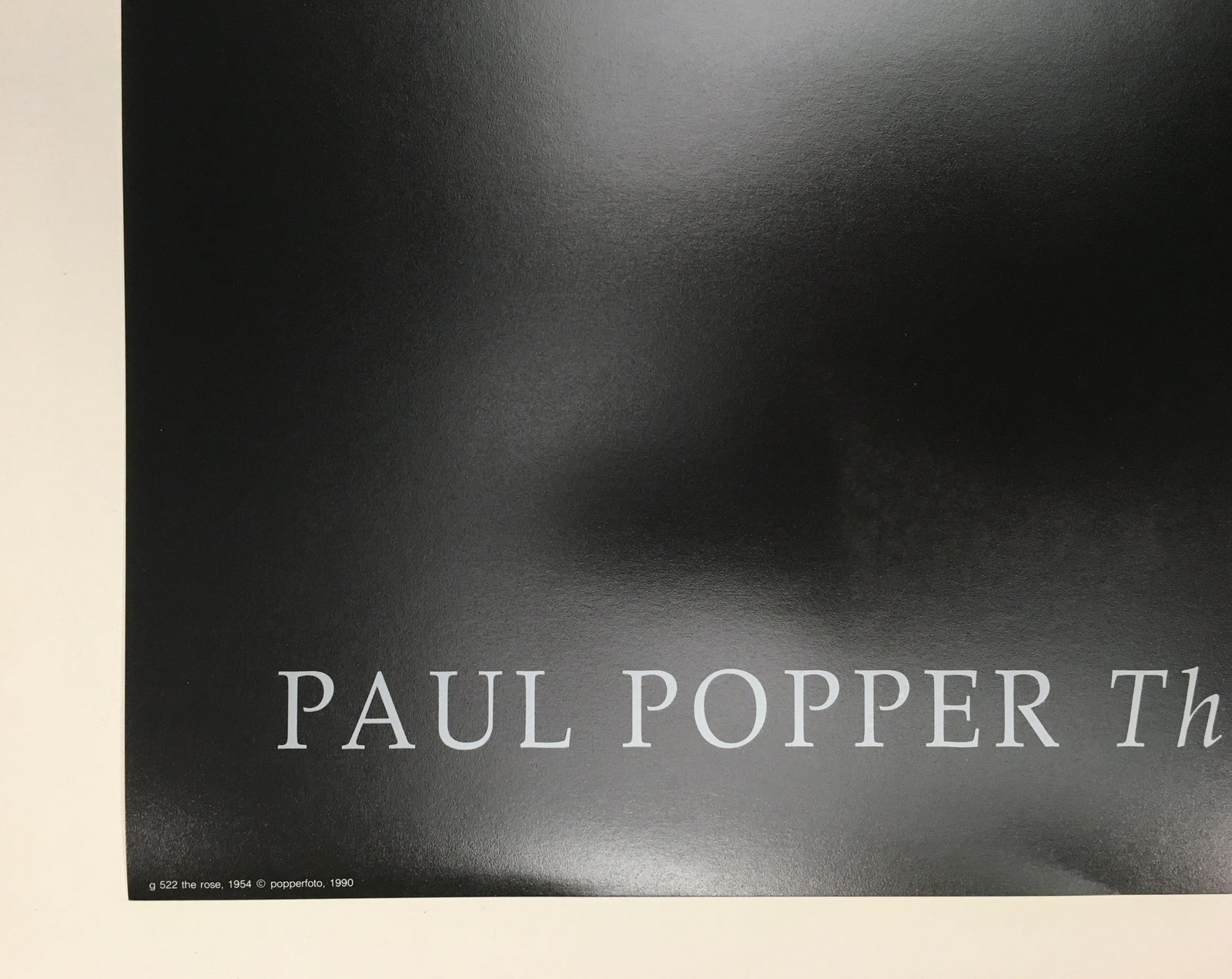 Paul Popper – The Rose – 1990 – Offset Poster | eBay