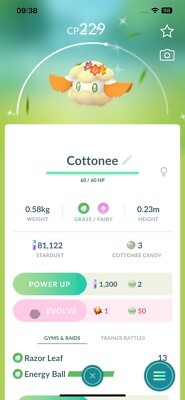 Pokémon Shiny Cottonee wearing a flower crown - TRADE 20k - Read ...