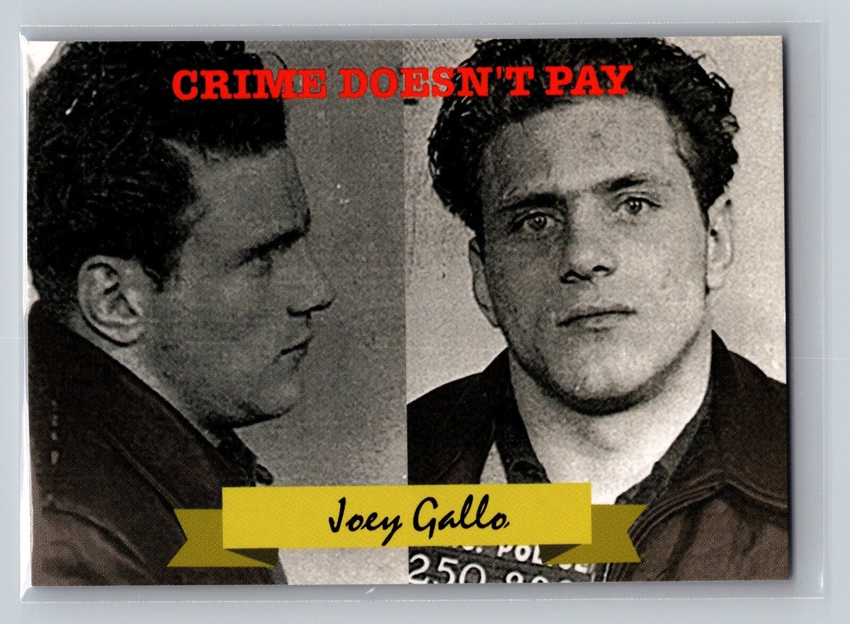 Joe Gallo Crime Scene The Irishman' On Netflix: The True Story Behind