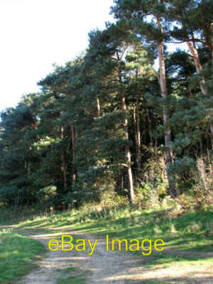 Photo 6x4 Heading east towards Hall Hills Honingham c2007 | eBay UK