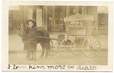 RPPC Trixie & JJ Pony Drawn Fancy Cart | eBay