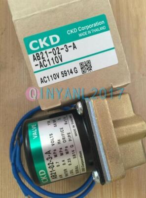 ONE New CKD AB21-02-3-A-AC110V Solenoid Valve AB21-02-3-A AC110V #b | eBay