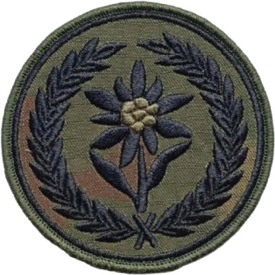 1181 SZAROTKA POLISH INDEPENDENT HIGHLANDER BRIGADE PATCH CAMO WW2 ...