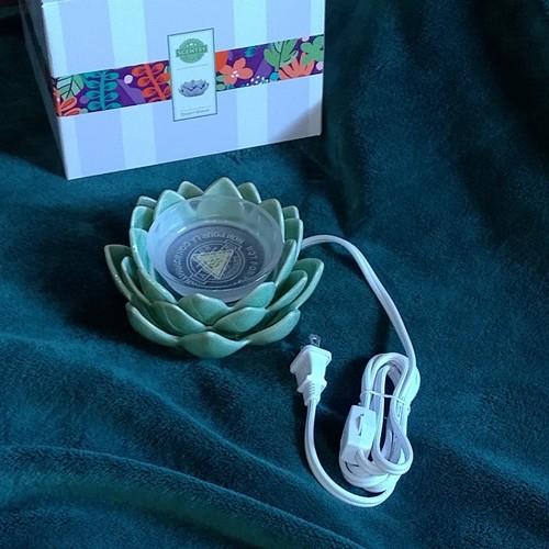 Scentsy DESERT BLOOM Wax Warmer Element Succulent | eBay