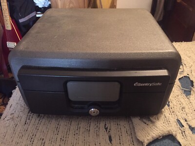 Sentry Safe Black WD2 With Key Fireproof Waterproof LOCAL PICKUP | eBay