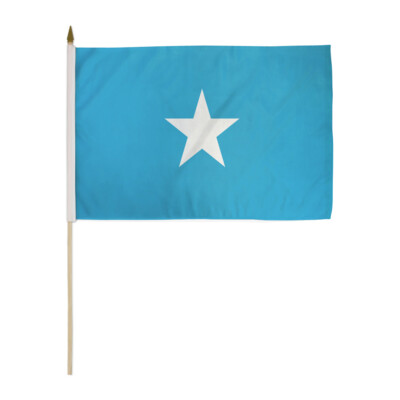 1 Dozen Somalia Stick Flag 12x18in Handheld Somalian Flag | eBay