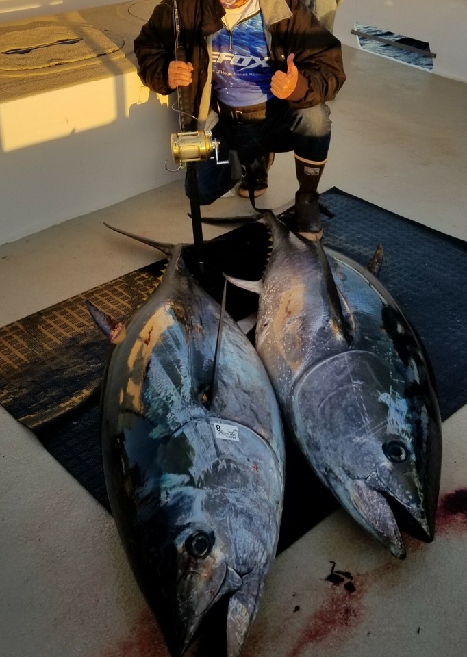 Two Jaws Nano Railrod Blank 7'3" MONO 50~120lb PE Line rating 80~130lb ...