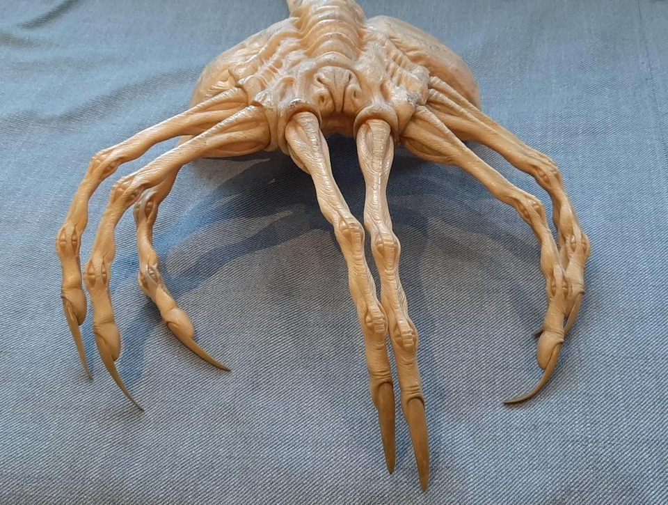 Halcyon Alien Face hugger 1/1 Scale P.V.C. Model Kit - Assembled ...