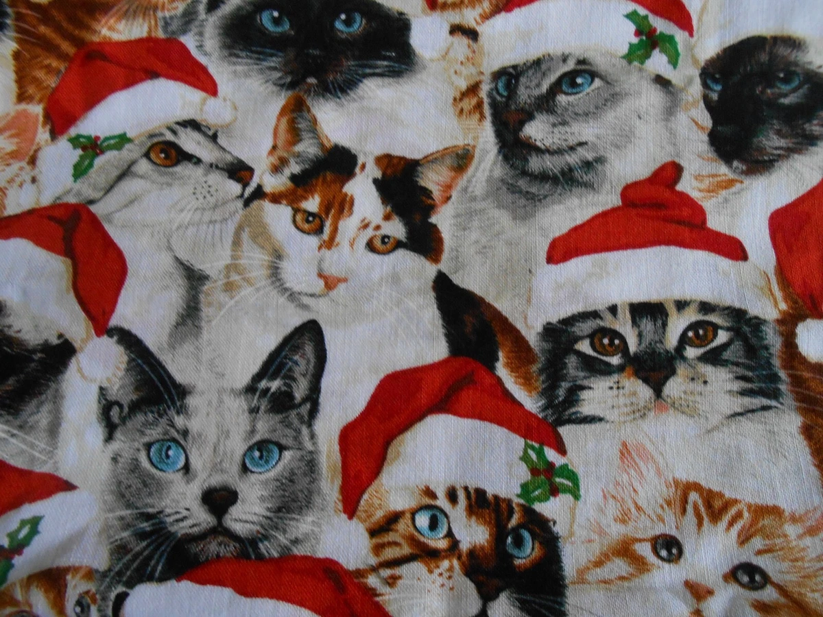 Cats With Christmas Hats