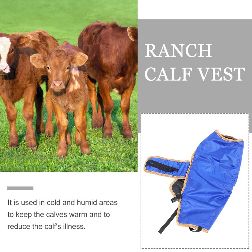 1Pc Farm Cow Calf Vest Thickened Belly Protection Costume Windproof ...
