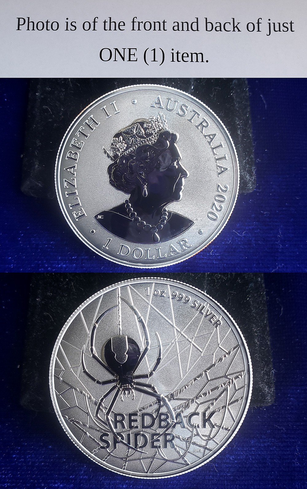 2020 Australia Dangerous Redback Spider 1 Troy Oz 999 Fine Silver Coin ...