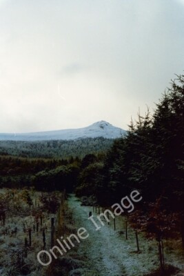 Photo 6x4 The path up Craigshannoch Old Westhall c2003 | eBay UK