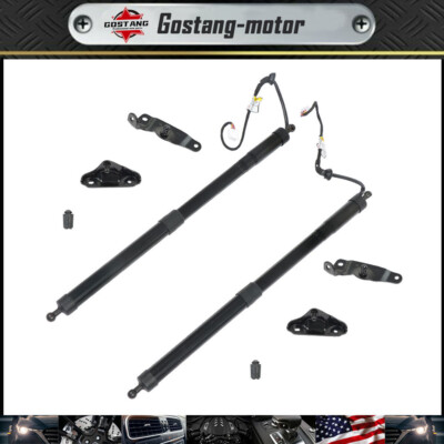 For Toyota Highlander 2014-2019 Rear Tailgate Power Hatch Lift Support ...