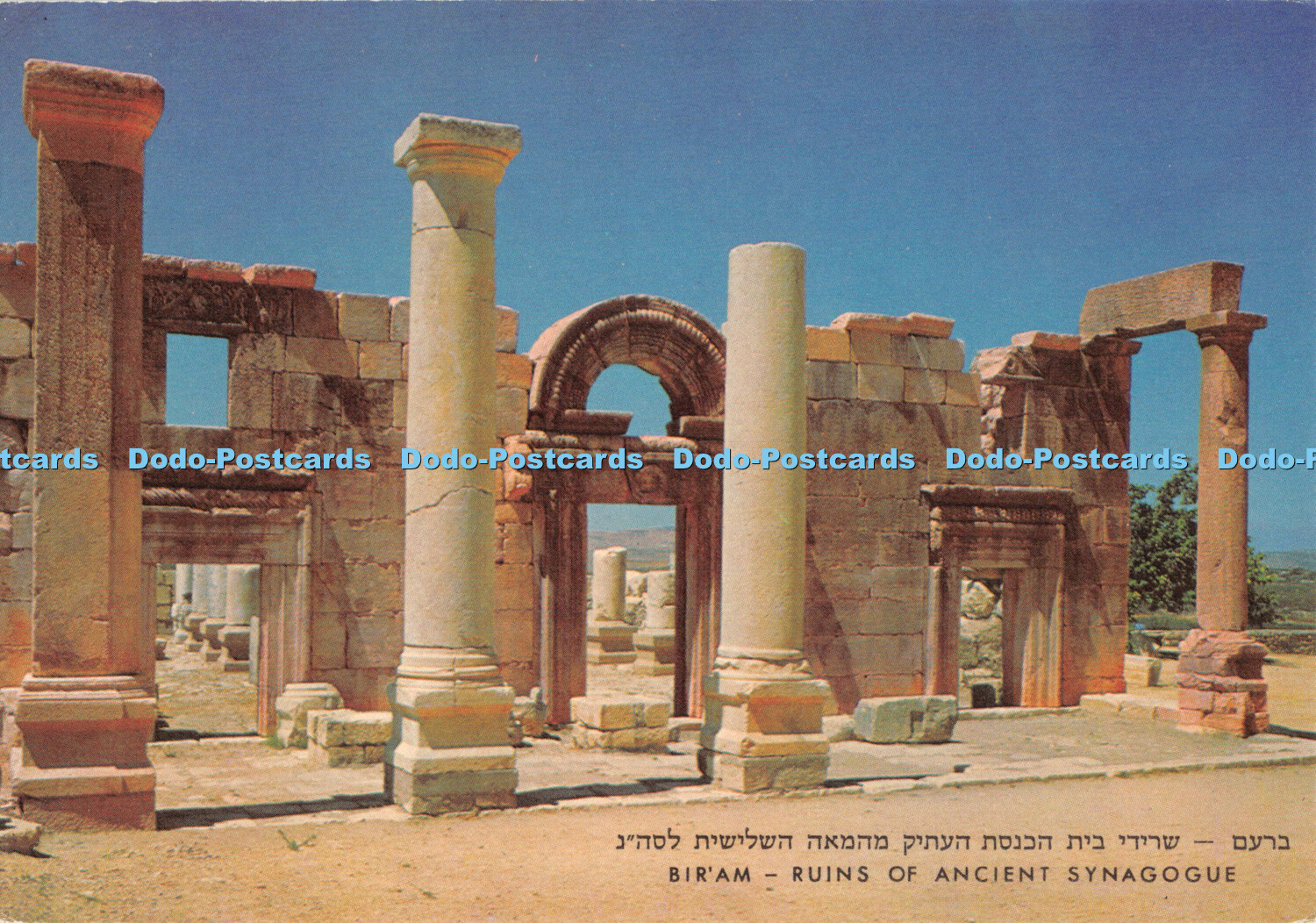 D102620 Biram. Ruins of Ancient Synagogue. From 3rd Century. One of ...