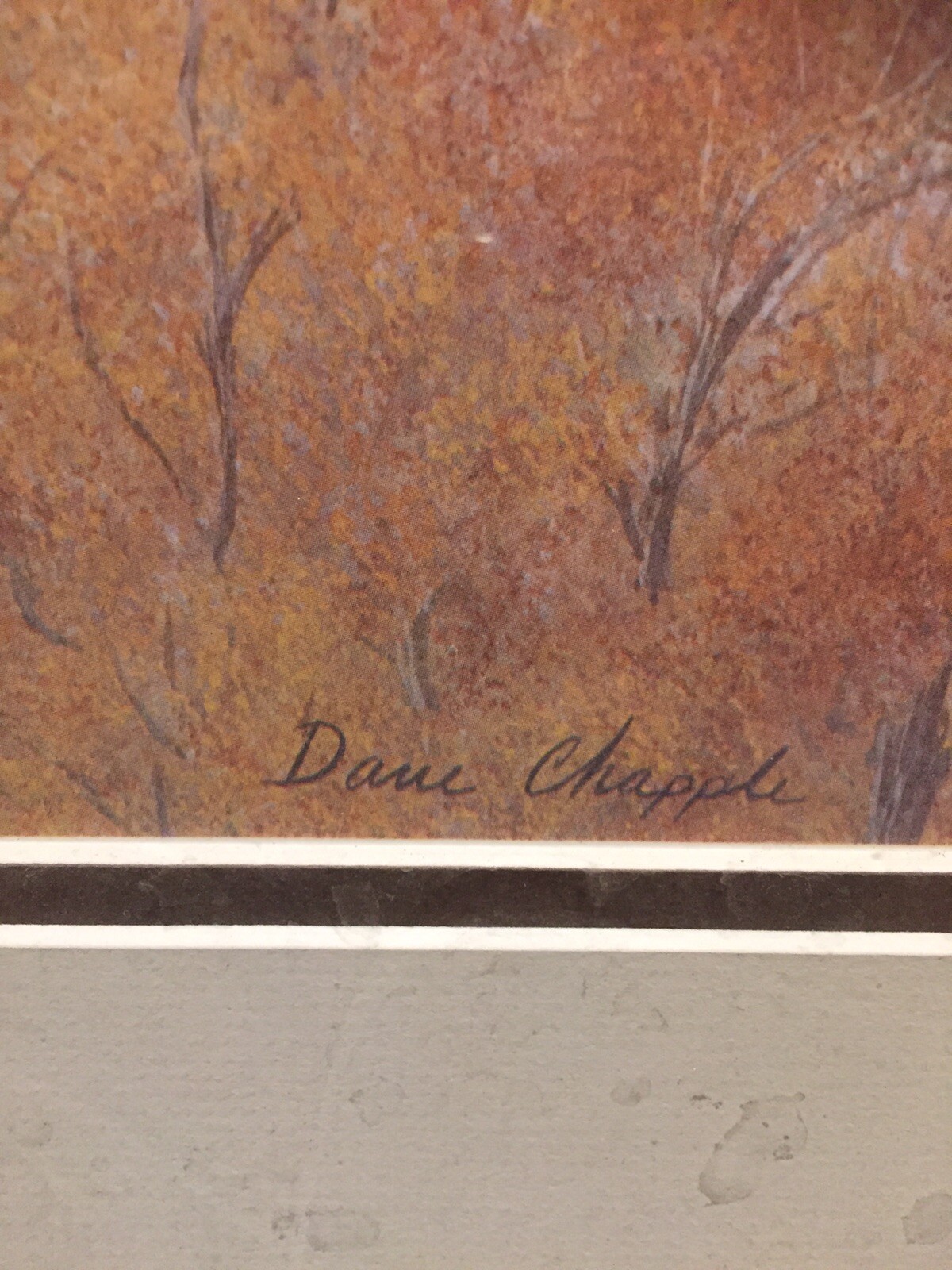 Dave Chapple Wildlife Ducks, Signed, Framed Print. See Photos | eBay