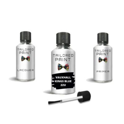 For Vauxhall Kings Blue 22 U Touch Up Paint With Brush | eBay UK