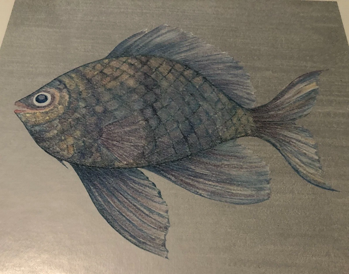 Tropical Fish Drawing In Pencil