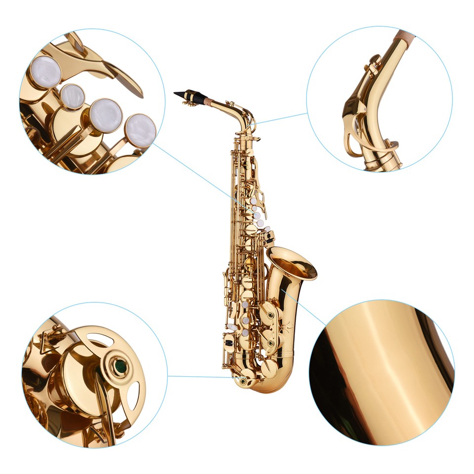 Alto Saxophone for Beginner, E Flat Alto Saxophone with Case Strap ...
