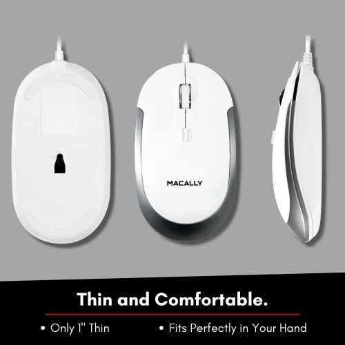 Macally Wired USB C Mouse for Mac & Windows - 3 Button & Scroll Wheel ...