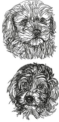 Cockapoo Dog Breed Personalized Embroidered Gray Fleece Stadium Blanket ...