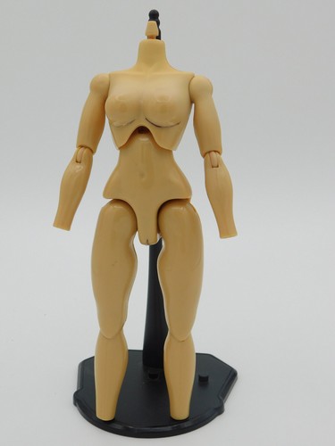 1/6 scale TAKARA CY GIRL 1.0 style FEMALE ACTION FIGURE BODY partial custom work | eBay