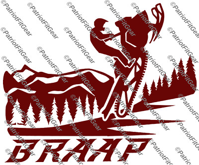 Snowmobile, Snowmobiling, BRAAP, Snowmachine, Pow Stoke, Sticker, Vinyl ...