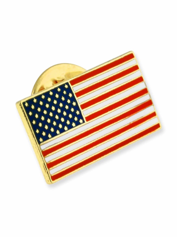 PinMart's Small Rectangle American Flag Lapel Pin with 50 Stars and 13 ...