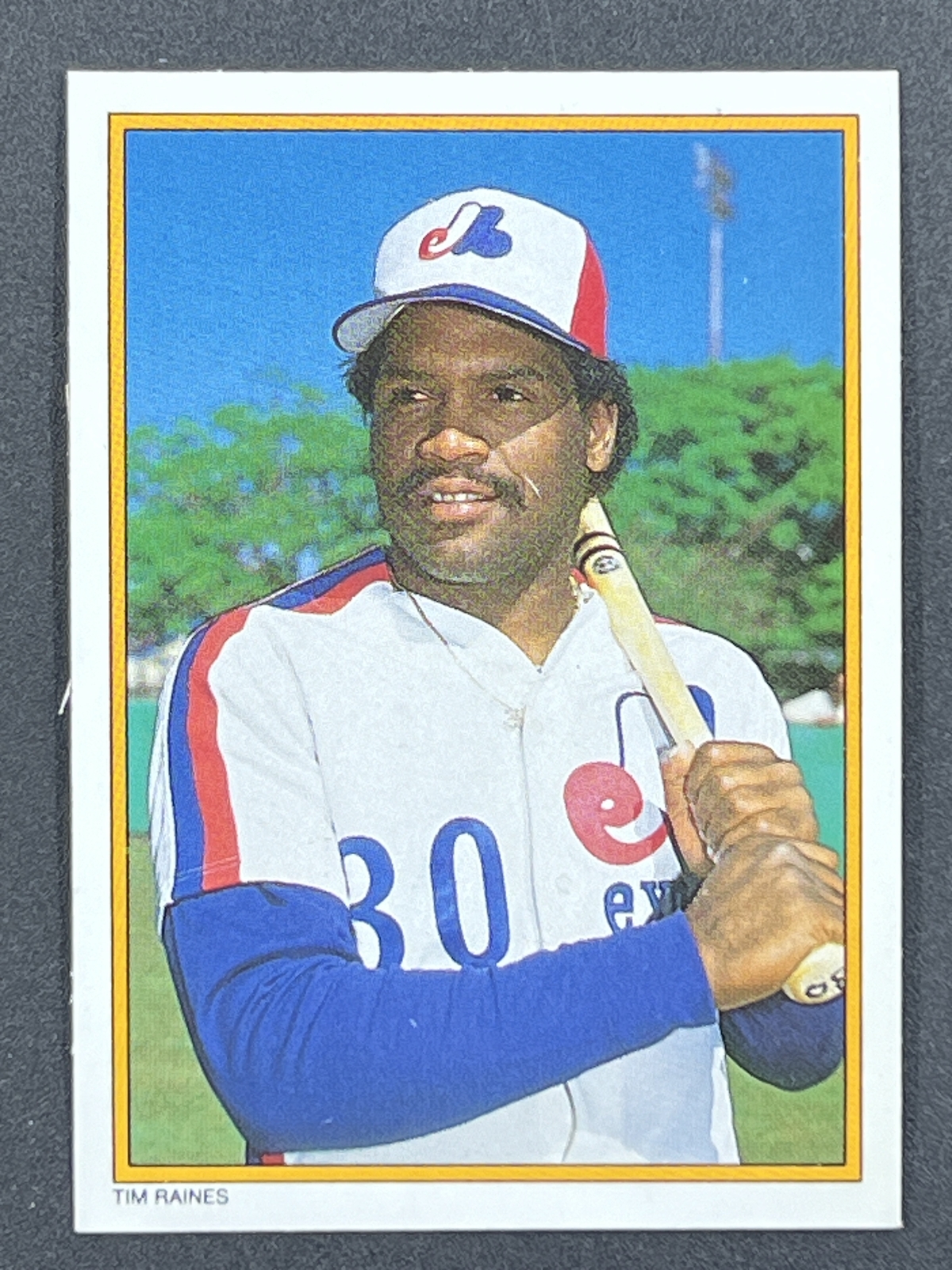 TIM RAINES 1987 Topps All Stars Collectors Edition #48 Montreal Expos ...