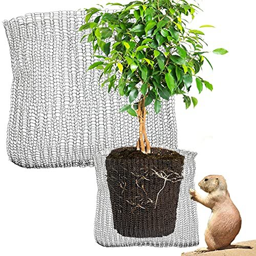 2 Pack 15 Gallon Root Guard Gopher Proof Wire Mesh Basket for ...