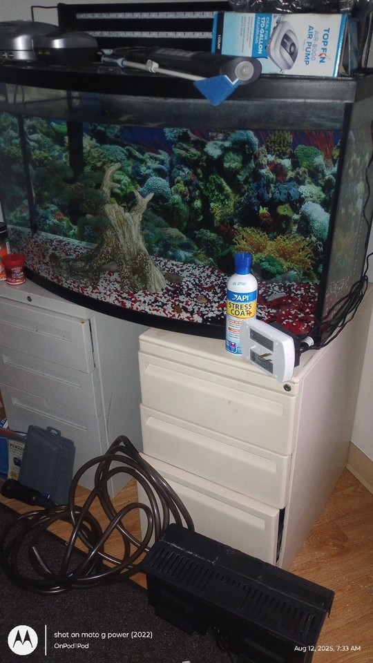 Large Aquarium Fish Tank | eBay