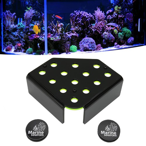 NEW 13 Holes Coral Frag Holder For Saltwater Aquarium | eBay