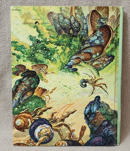 Vintage Pagoo 1957 Hardcover Holling Clancy Holling Life Science Hermit ...