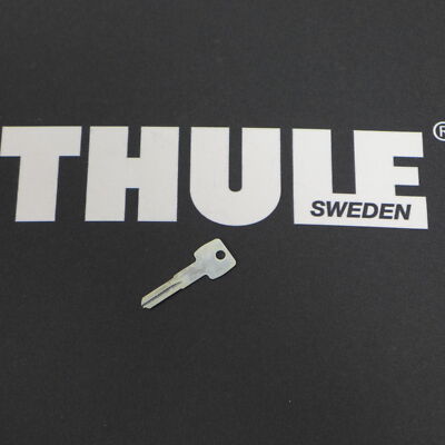 Thule Masterkey Change Removal Key D1252 für Schloßeinsätze aller Thule ...