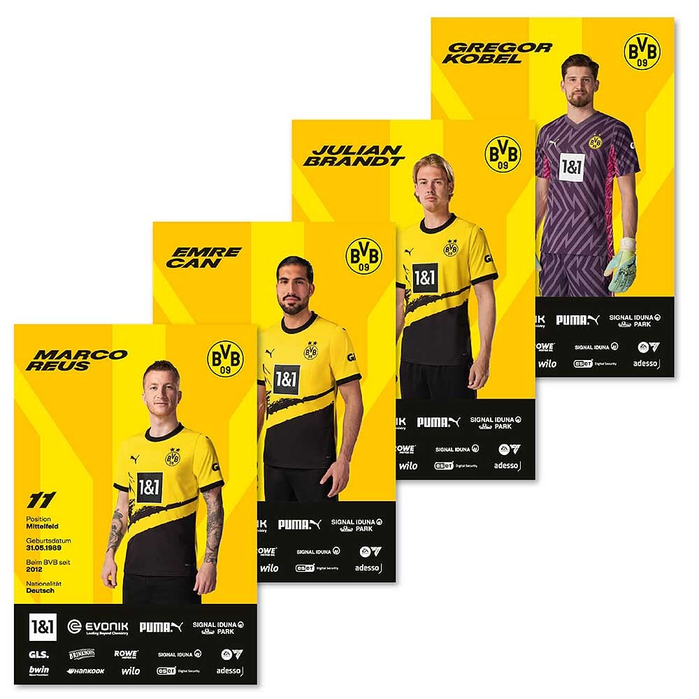 BVB Autogrammkarten Set mit gedruckten Unterschriften 2023/2024 BVB ...