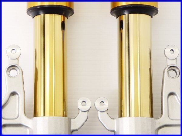 2004 Ducati 999S Ohlins Inverted Front Fork Set 6x07QL23 | 53mm | 8 ...