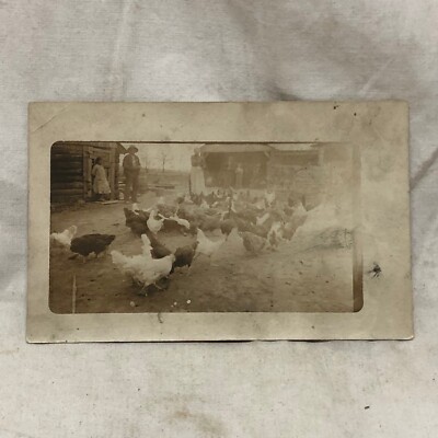 Vintage Real Photo Postcard Chickens Homestead Farm | eBay
