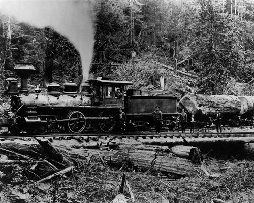 Log Train Steam Locomotive Photograph Logging Linden Washington 1902 ...