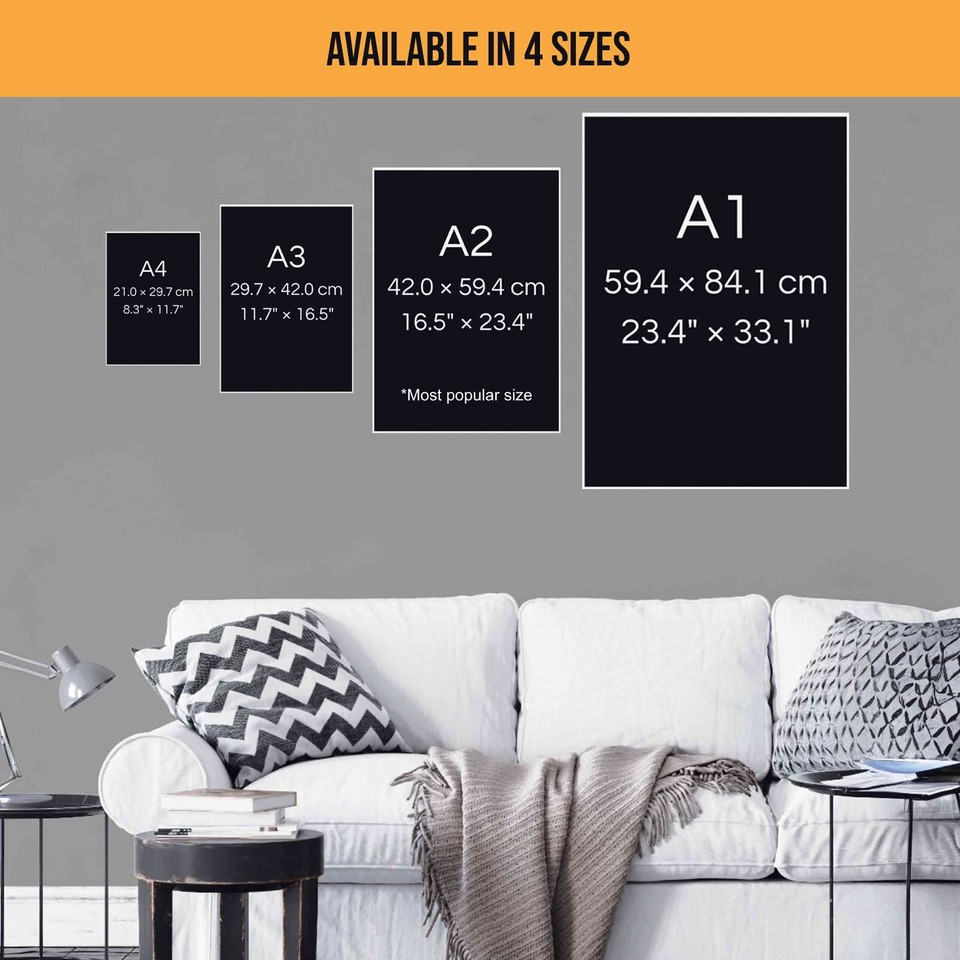 Boxing World Title Belts Poster | WBC, WBA, WBO, IBF & Ring Magazine ...