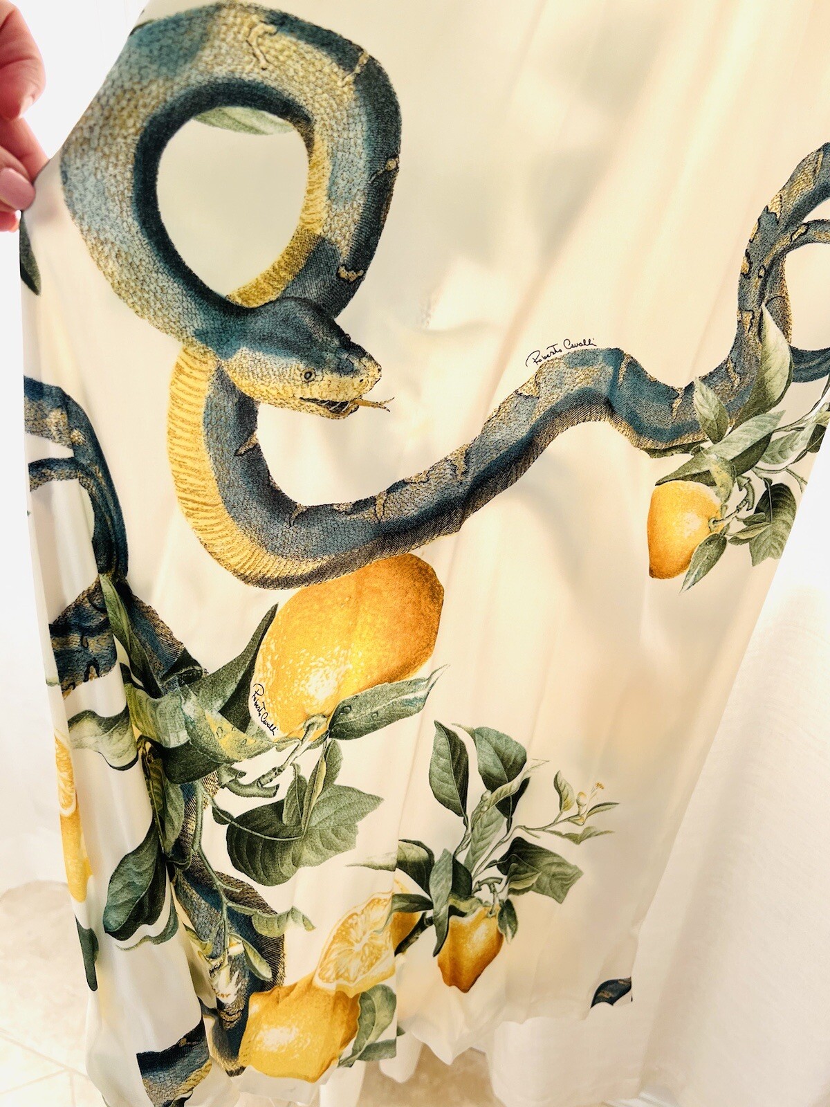 Roberto Cavalli Snakes and Lemons Silk Dress S | eBay