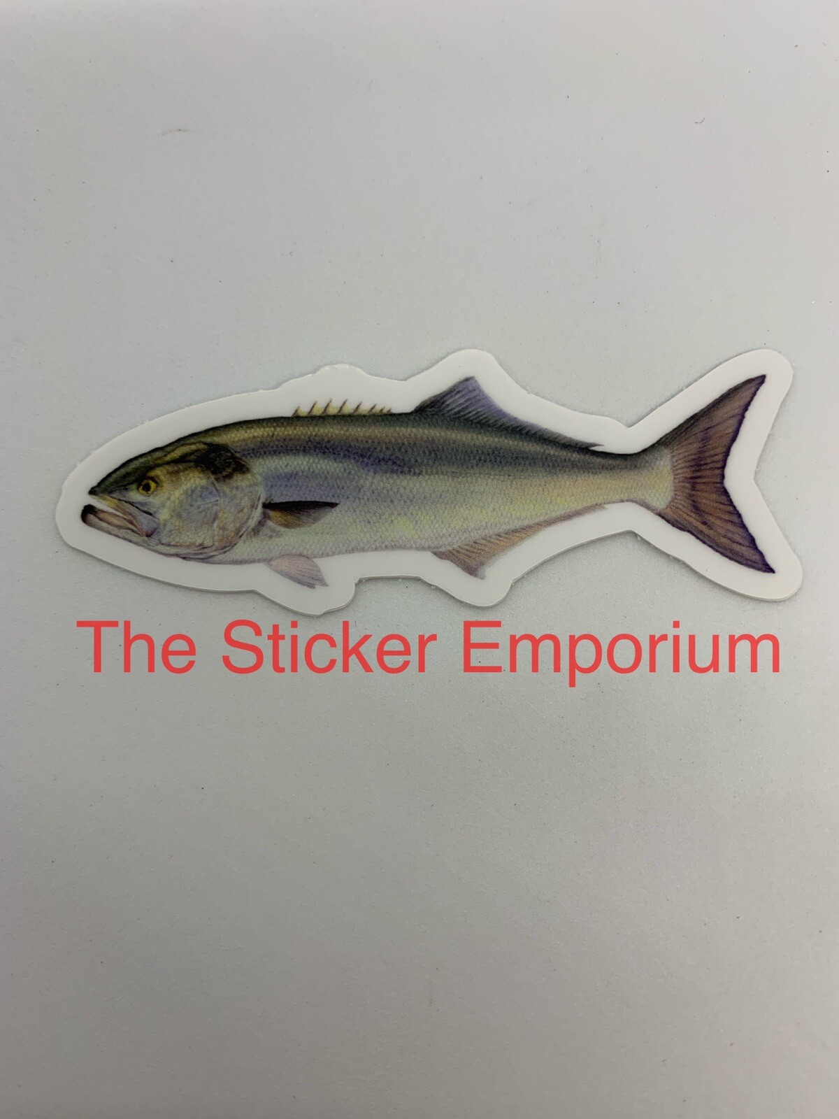 Bluefish Fish Small Sticker ~ Fishing ~ Water Bottle Laptop Tumbler ...