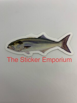 Bluefish Fish Small Sticker ~ Fishing ~ Water Bottle Laptop Tumbler ...