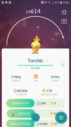 Pokémon Shiny Torchic GO | eBay