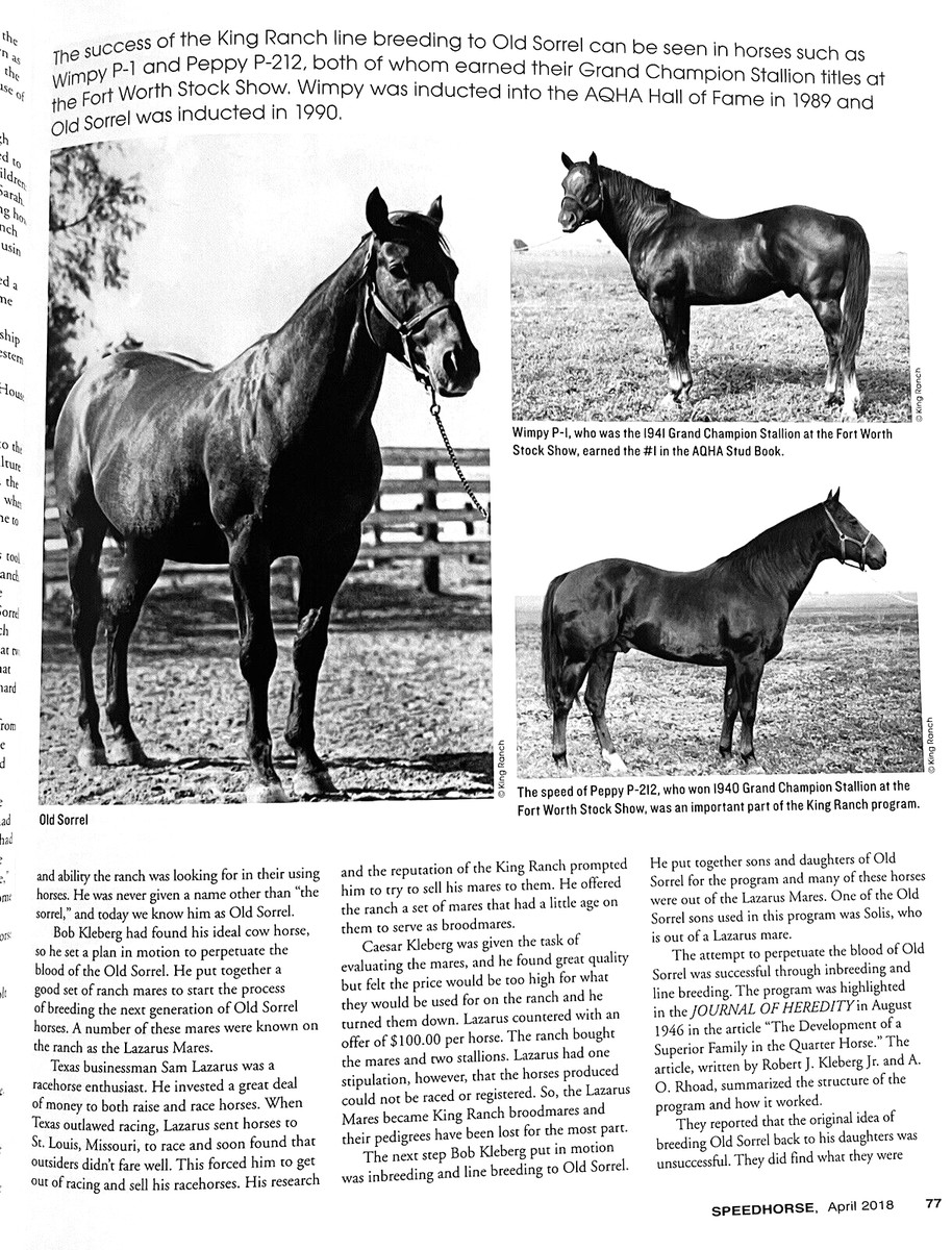 King Ranch Bred Horses