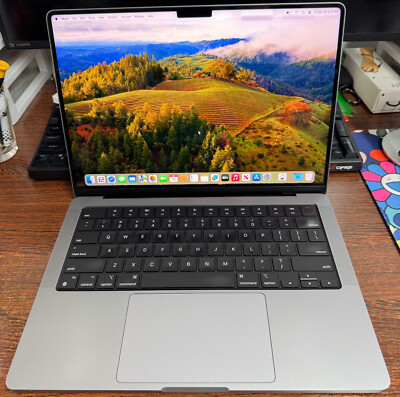 Apple MacBook Pro 14" (M1 Pro, 16GB Ram, 512GB SSD) Silver (Screen Burn ...