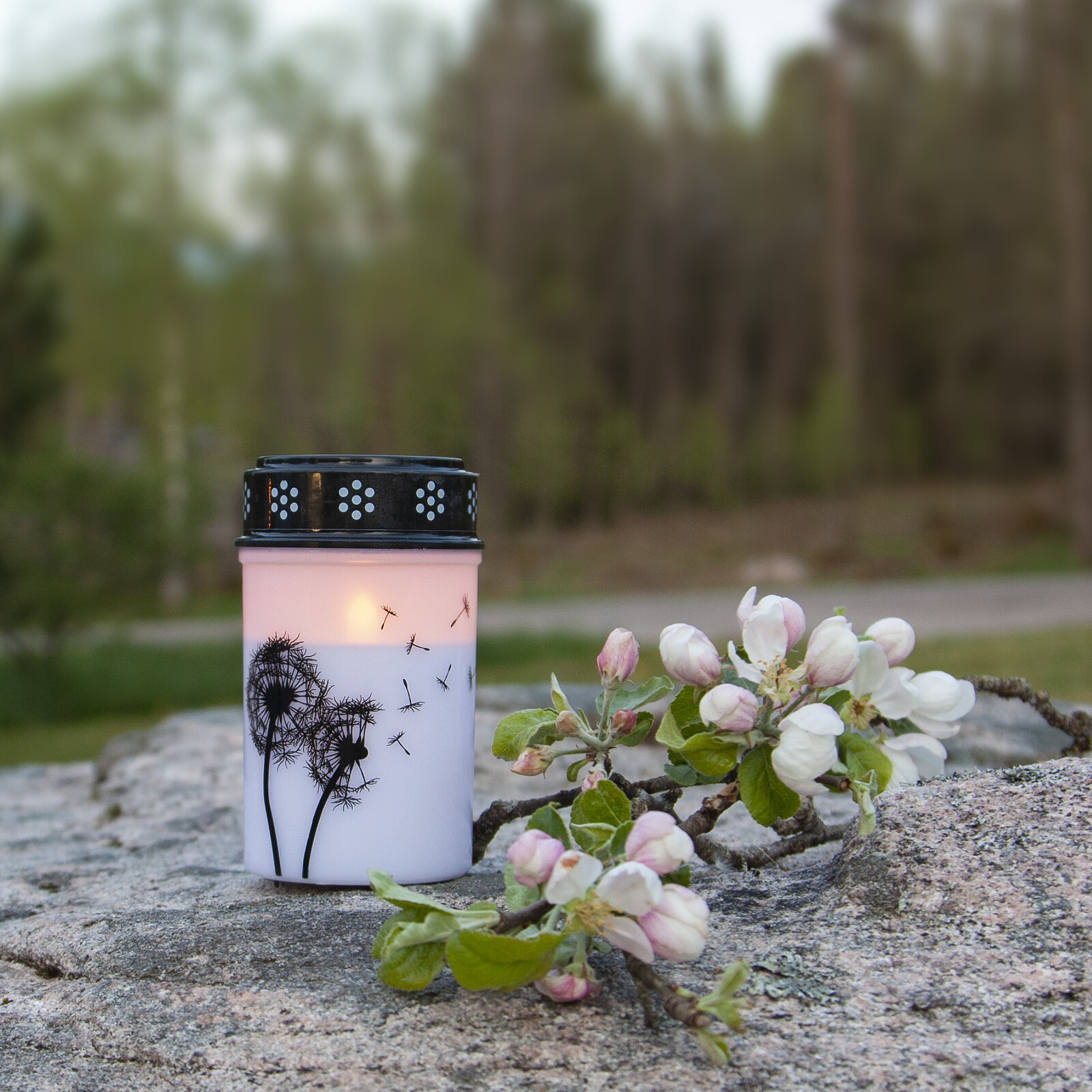 LED Grableuchte mit Motiv & TIMER Grablaterne Grablampe Kerze für Grab ...