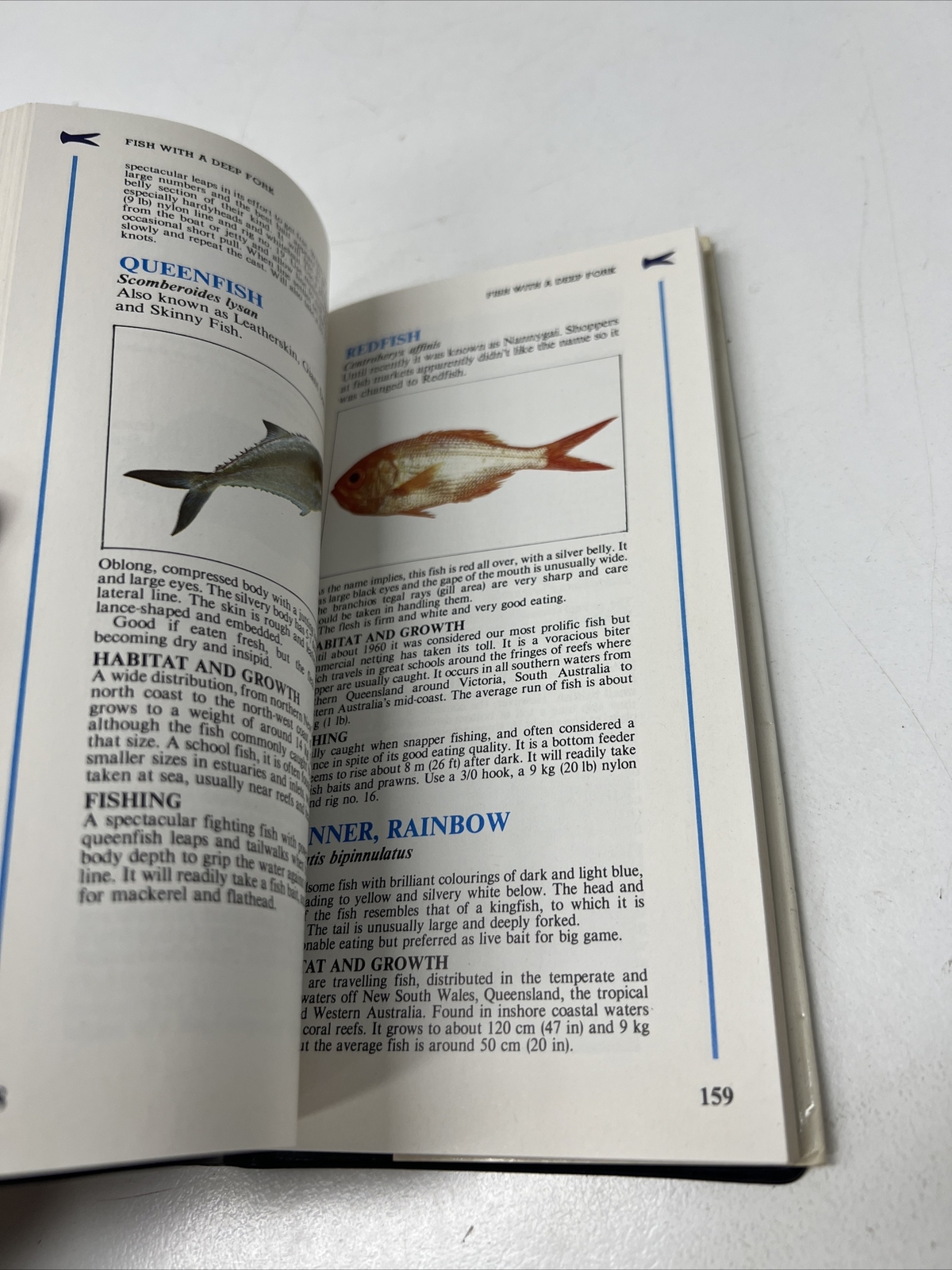 VINTAGE BOOK THE AUSTRALIAN FISHERMANS COMPANION VAUGHAN 1982 FISHING ...