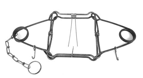 1 Oneida Victor #220-2 Genuine Conibear Traps Trapping Supplies 1 Trap ...